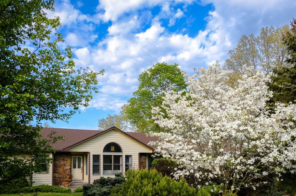 What You Can Expect From the Spring Housing Market