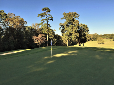 Legacy Pines Golf