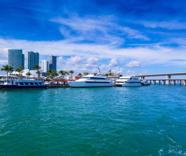 Explore Palmetto Bay