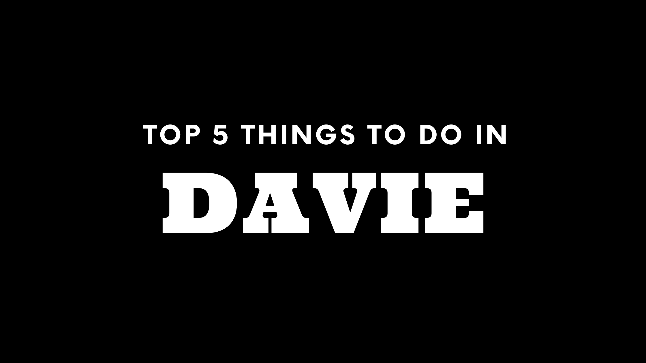 Top 5 Things To Do in Davie