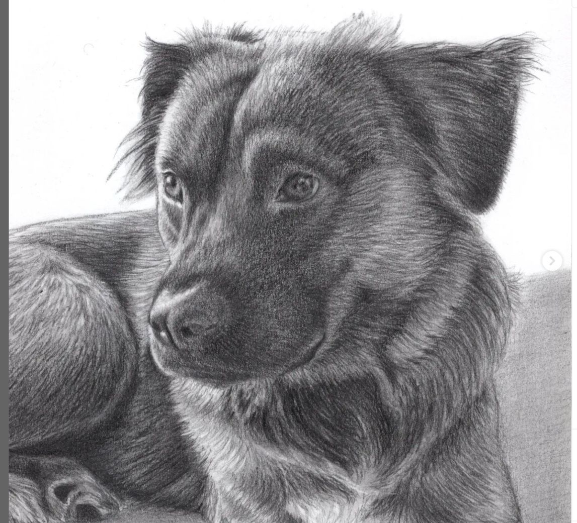 Capturing Love on Paper: The World of a Hyper-Realistic Pet Portrait Artist