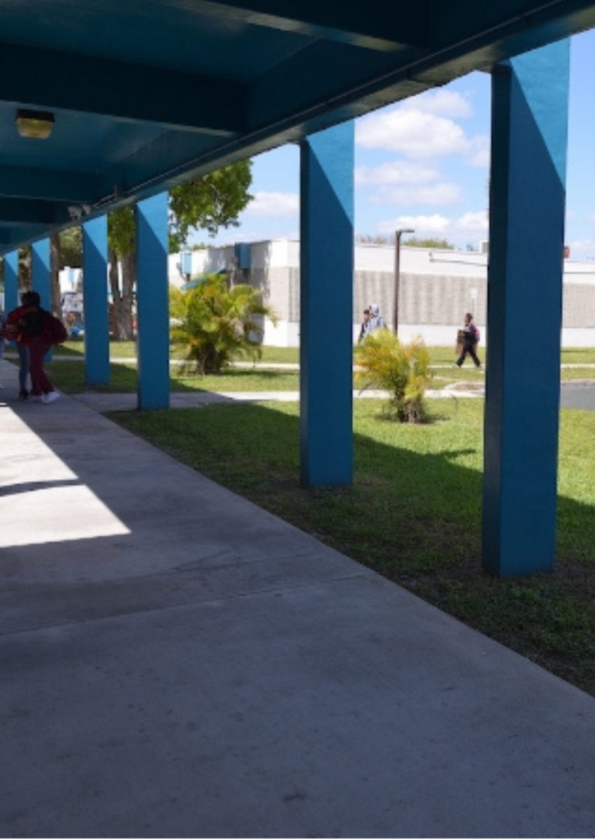 Schools in Miami Lakes
