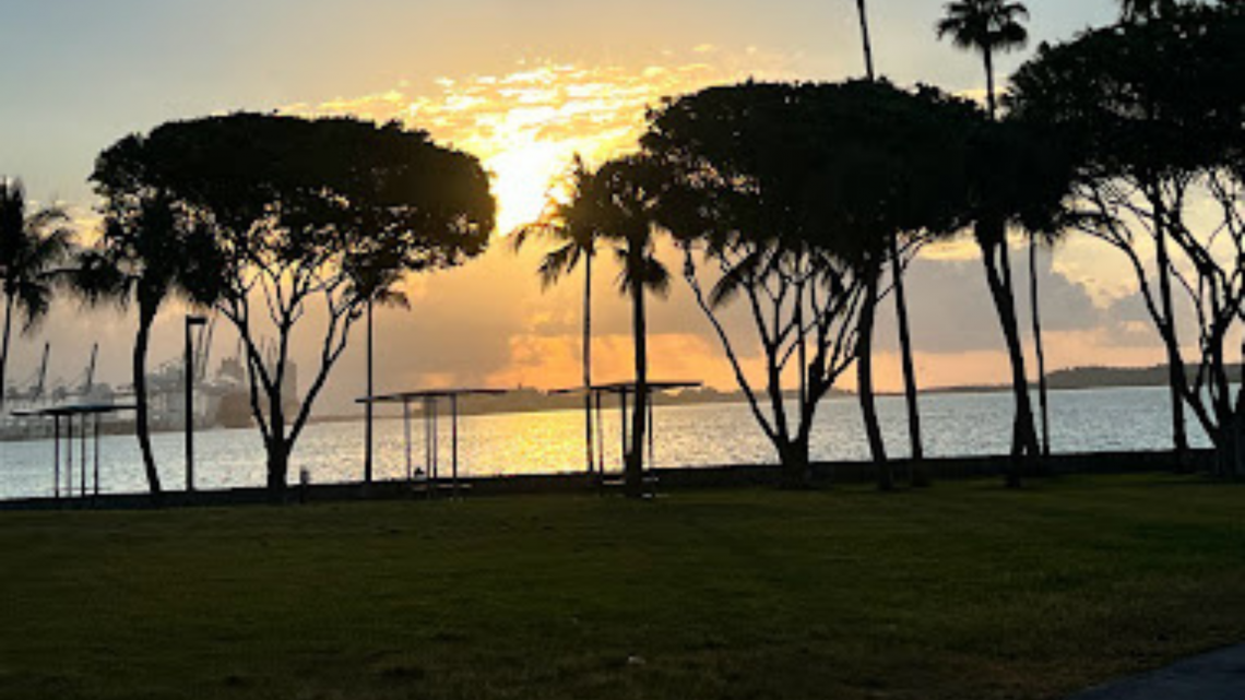 Top 5 Instagrammable Places in Brickell