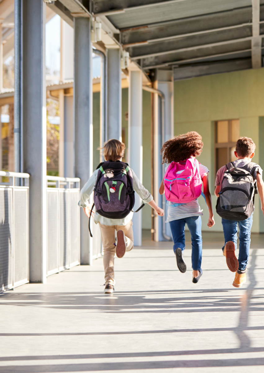 Schools in Coral Terrace and Flagami