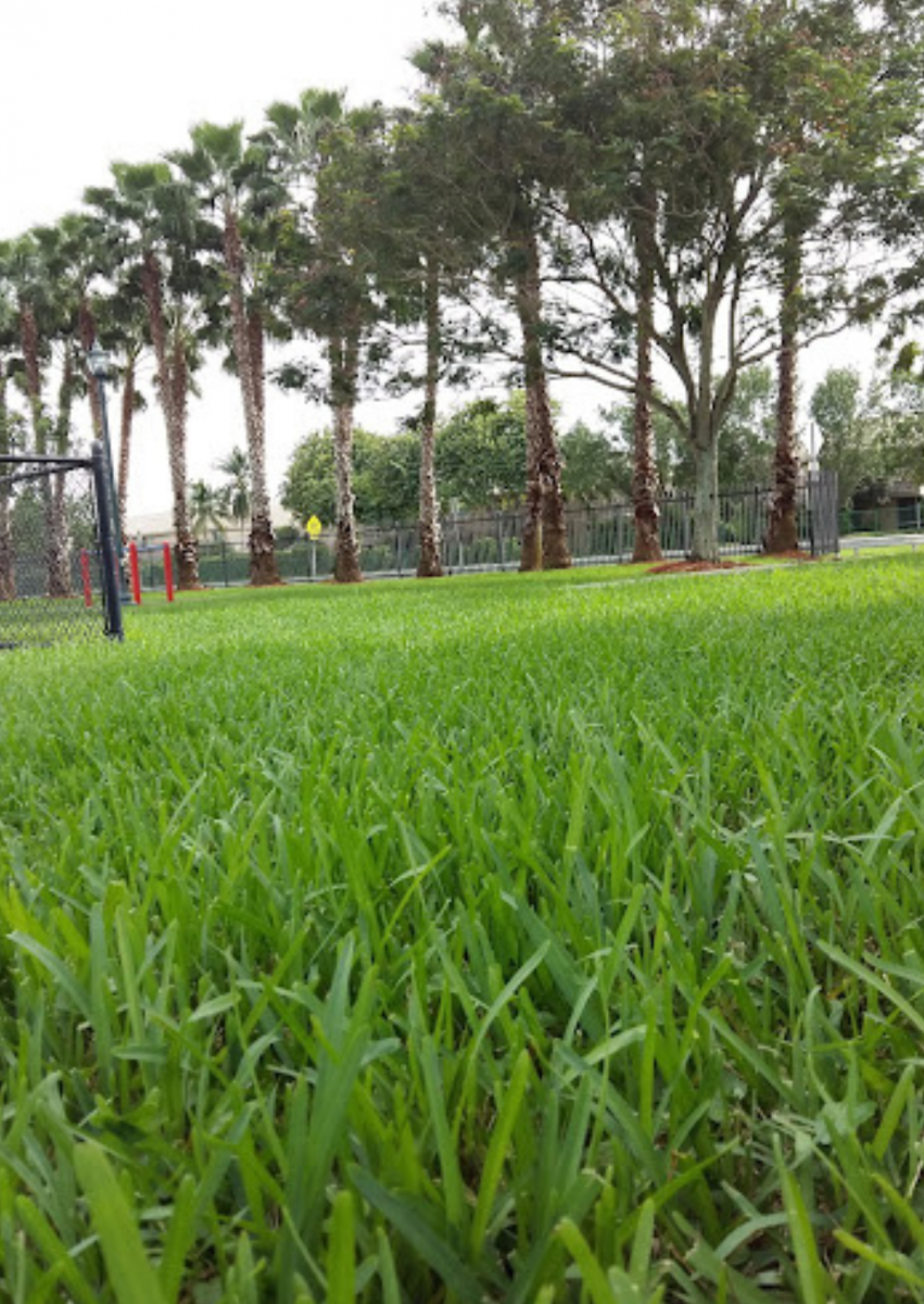 Dog-Friendly Parks in Doral