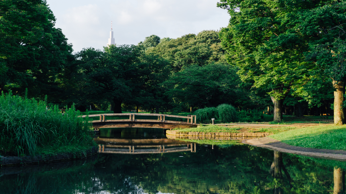 Top 5 Instagrammable Places near Gables Estates