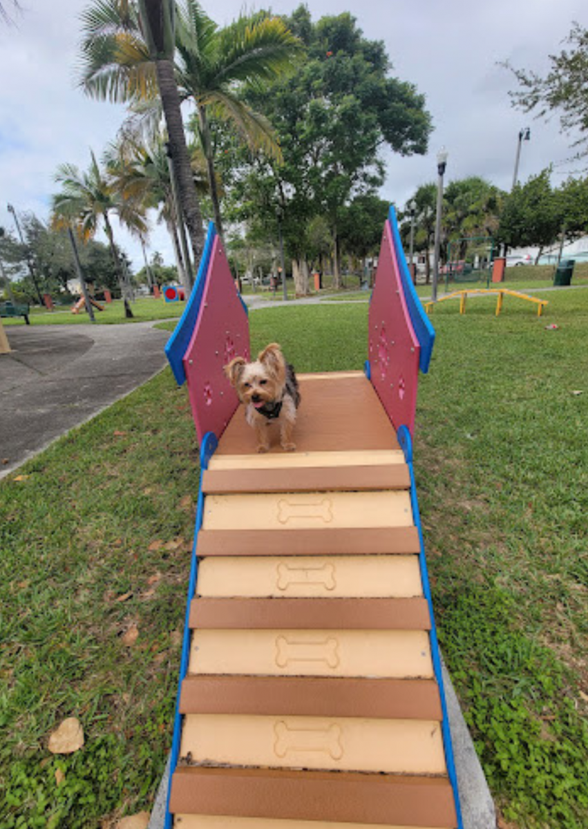 Dog-Friendly Parks in Homestead