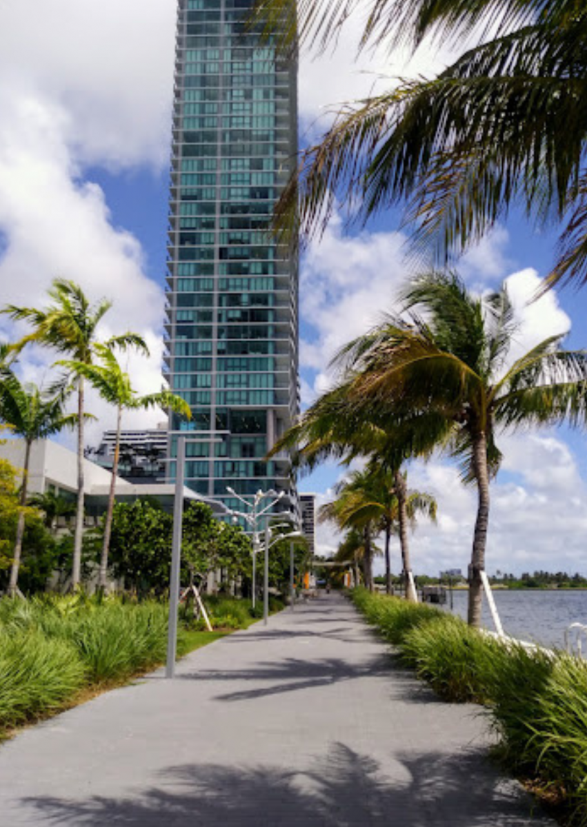 Dog-Friendly Parks in Wynwood