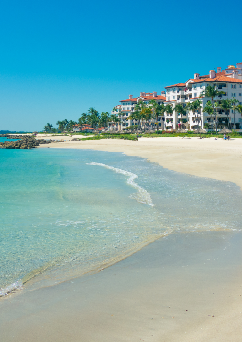 Moving to North Beach? 7 Things You Need To Do Immediately!