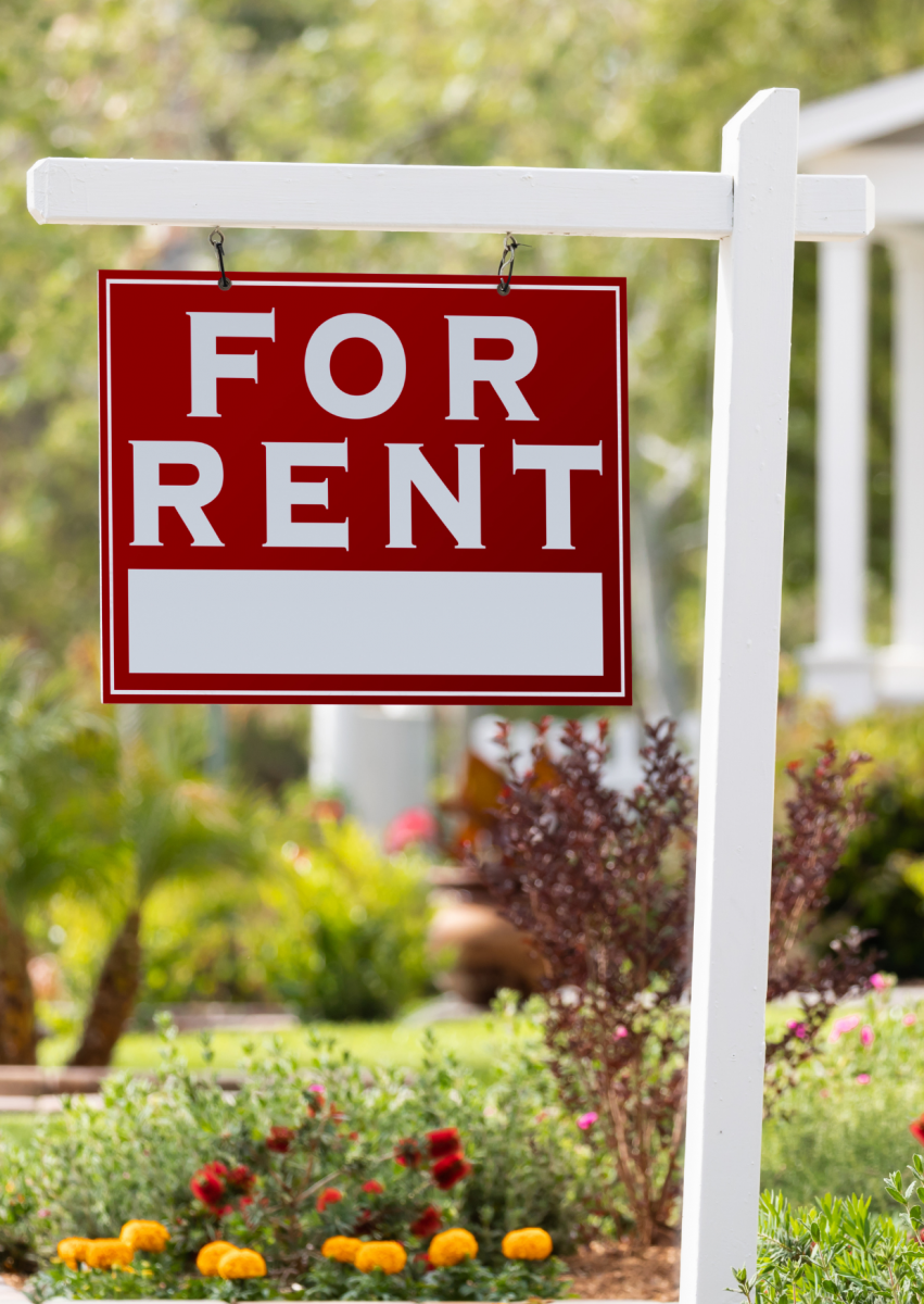 5 Things New In Allapattah!