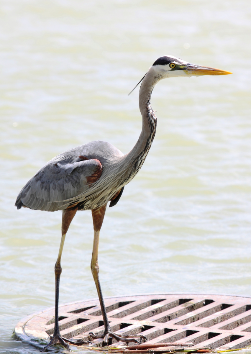 Top 5 Things You May Not Know About Keystone Point