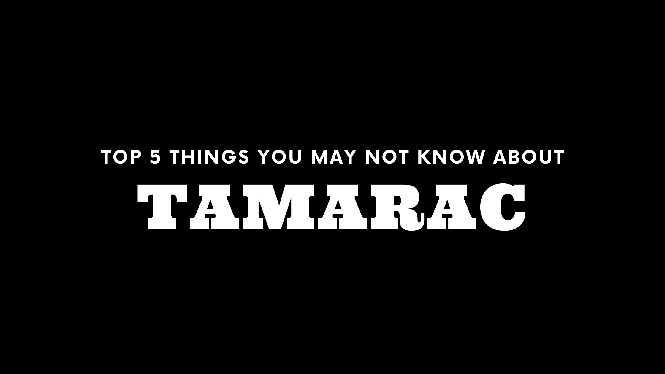 Top 5 Things You May Not Know About Tamarac