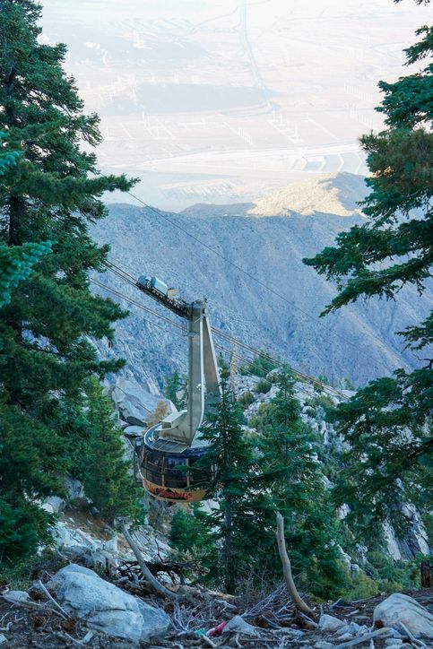 16 Things To Do This Summer in Palm Springs