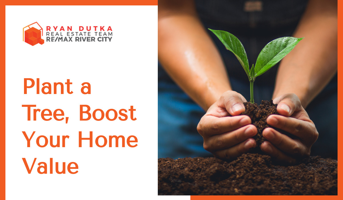 Plant a Tree, Boost Your Home Value