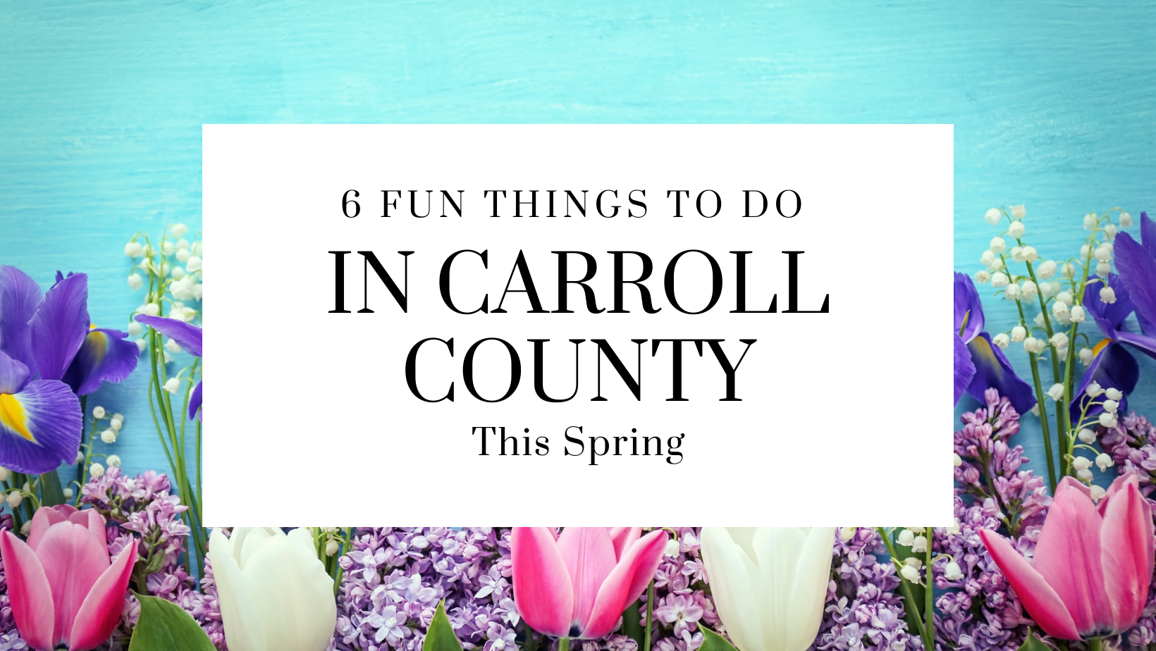 6 Fun Things To Do In Carroll County This Spring
