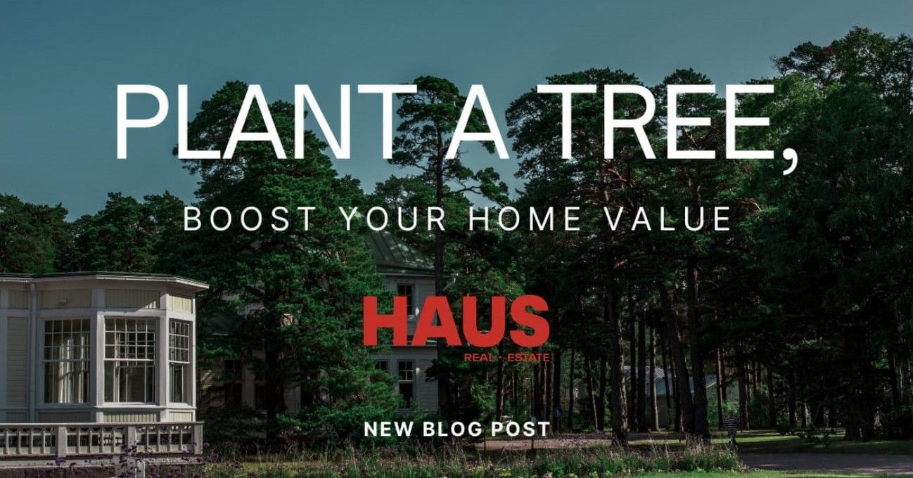 Plant a Tree, Boost Your Home Value