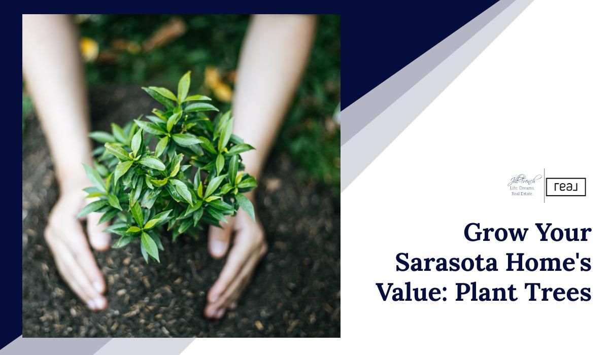 Grow Your Sarasota Home's Value: Plant Trees