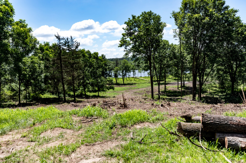 Shire Wood - Design Concept Lot 3