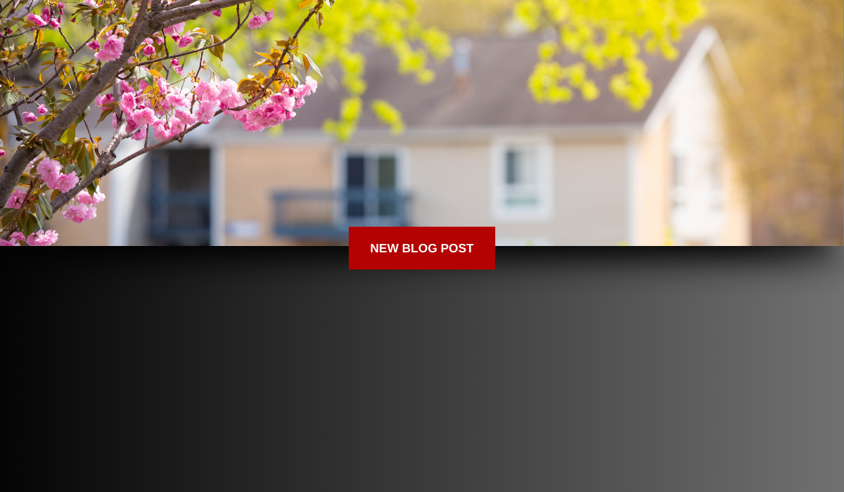 The Spring Effect: How Seasonality Shapes Home Prices