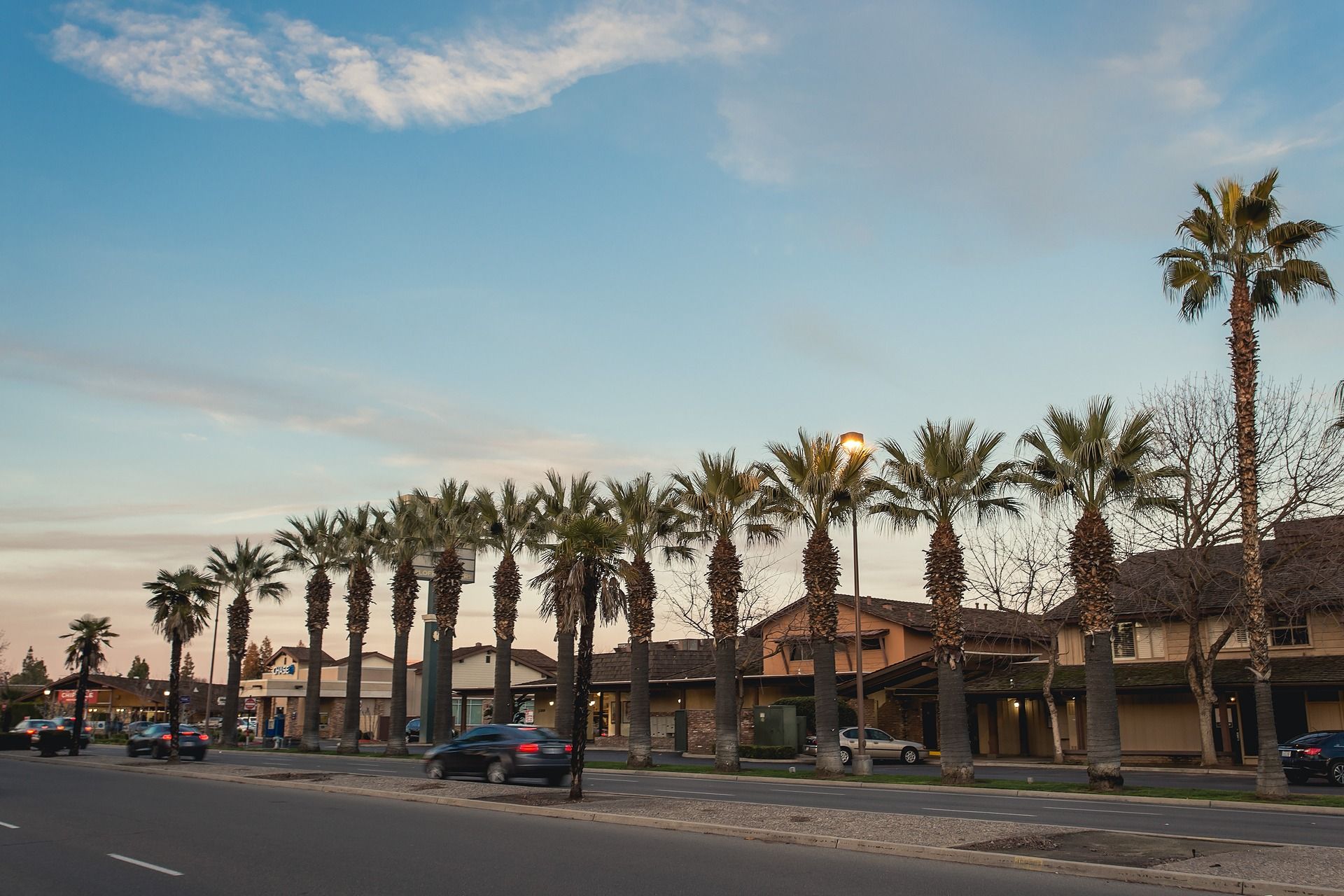 Fig Garden Neighborhood Guide