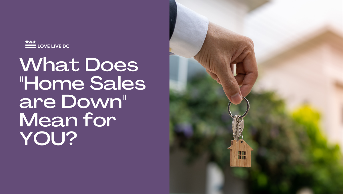 What Does "Home Sales are Down" Mean for YOU? | Love Live DC Explains