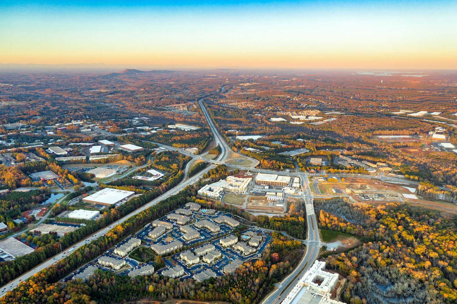 5 Essential Tips for Moving to a New State