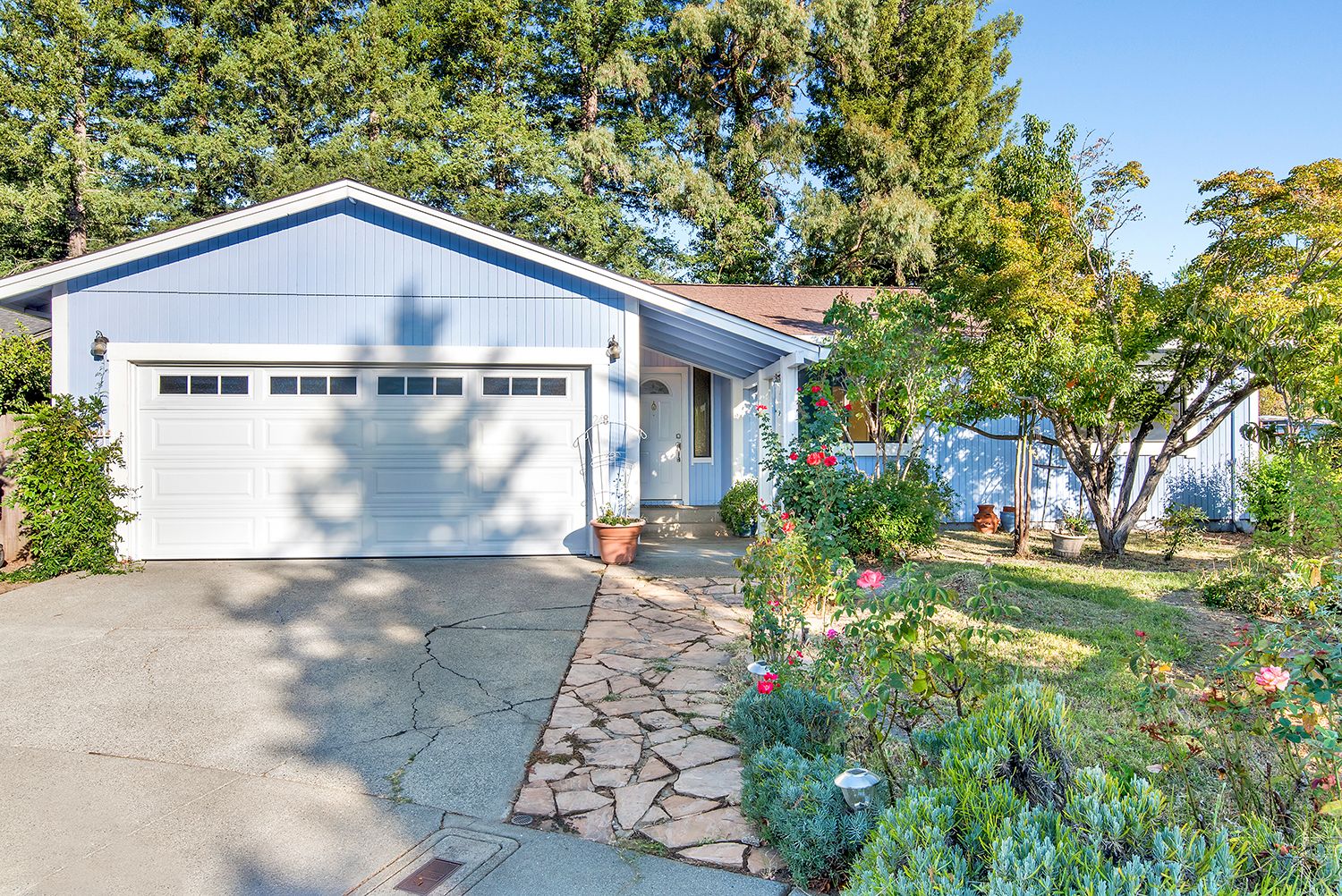 248 Albert Ct | Healdsburg, CA