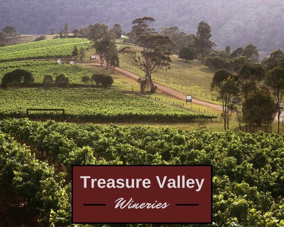 A Guide to Treasure Valley Wineries