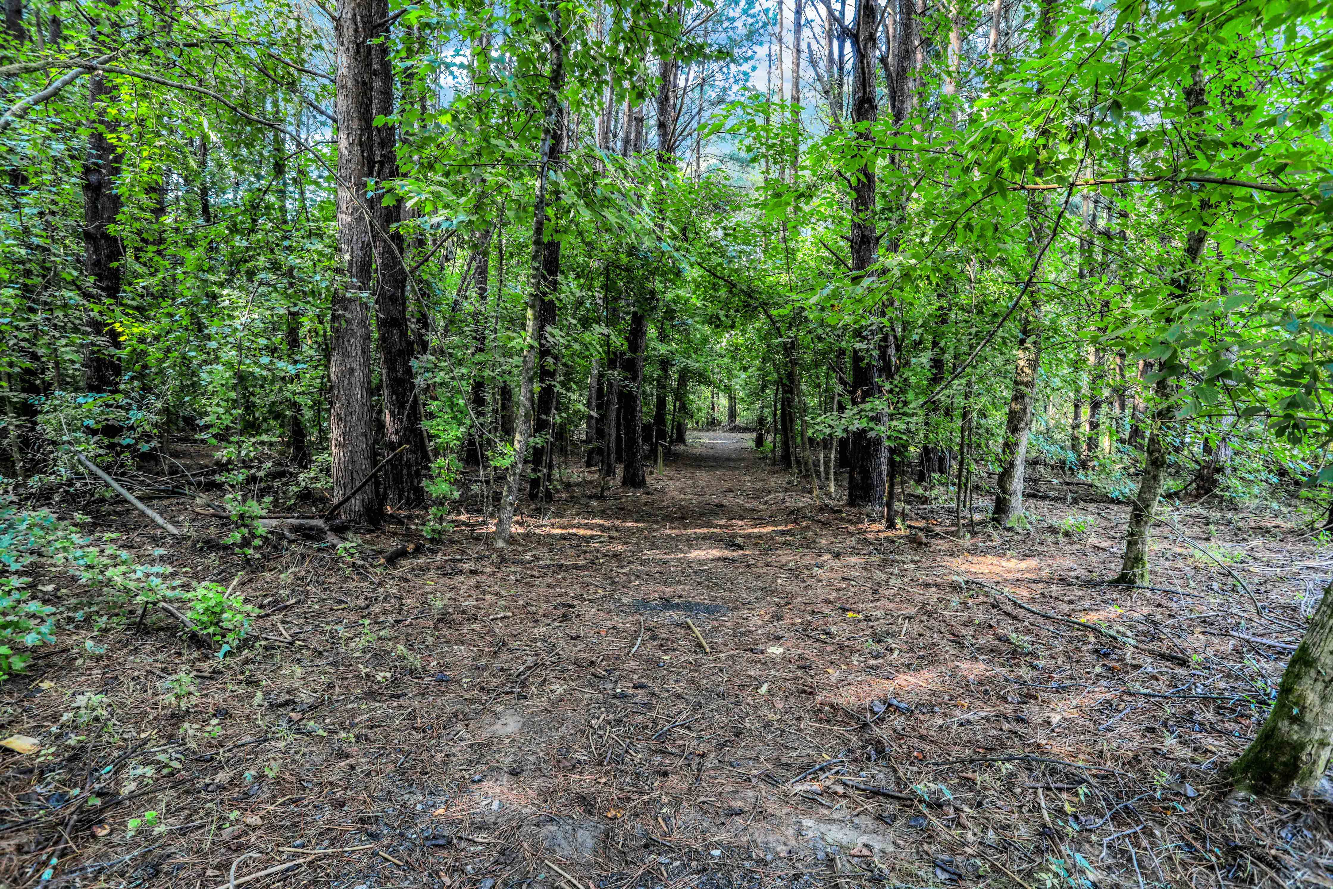 Explore Chattahoochee River Club, Georgia | Neighborhood Guide | North ...