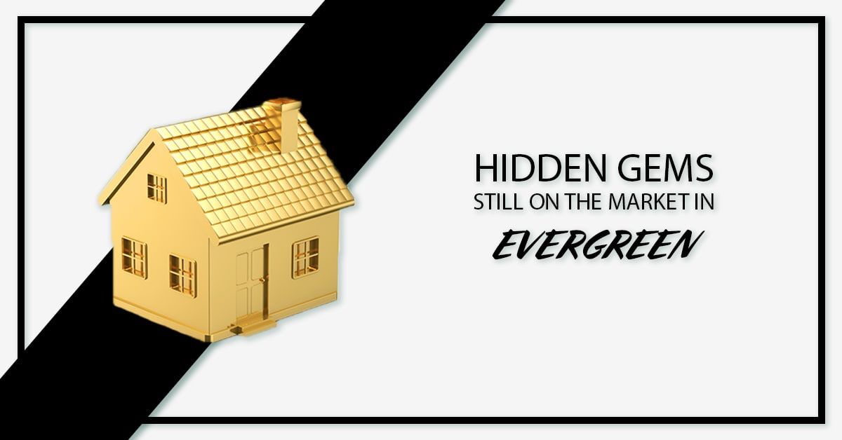 💎 Hidden Gems in Evergreen