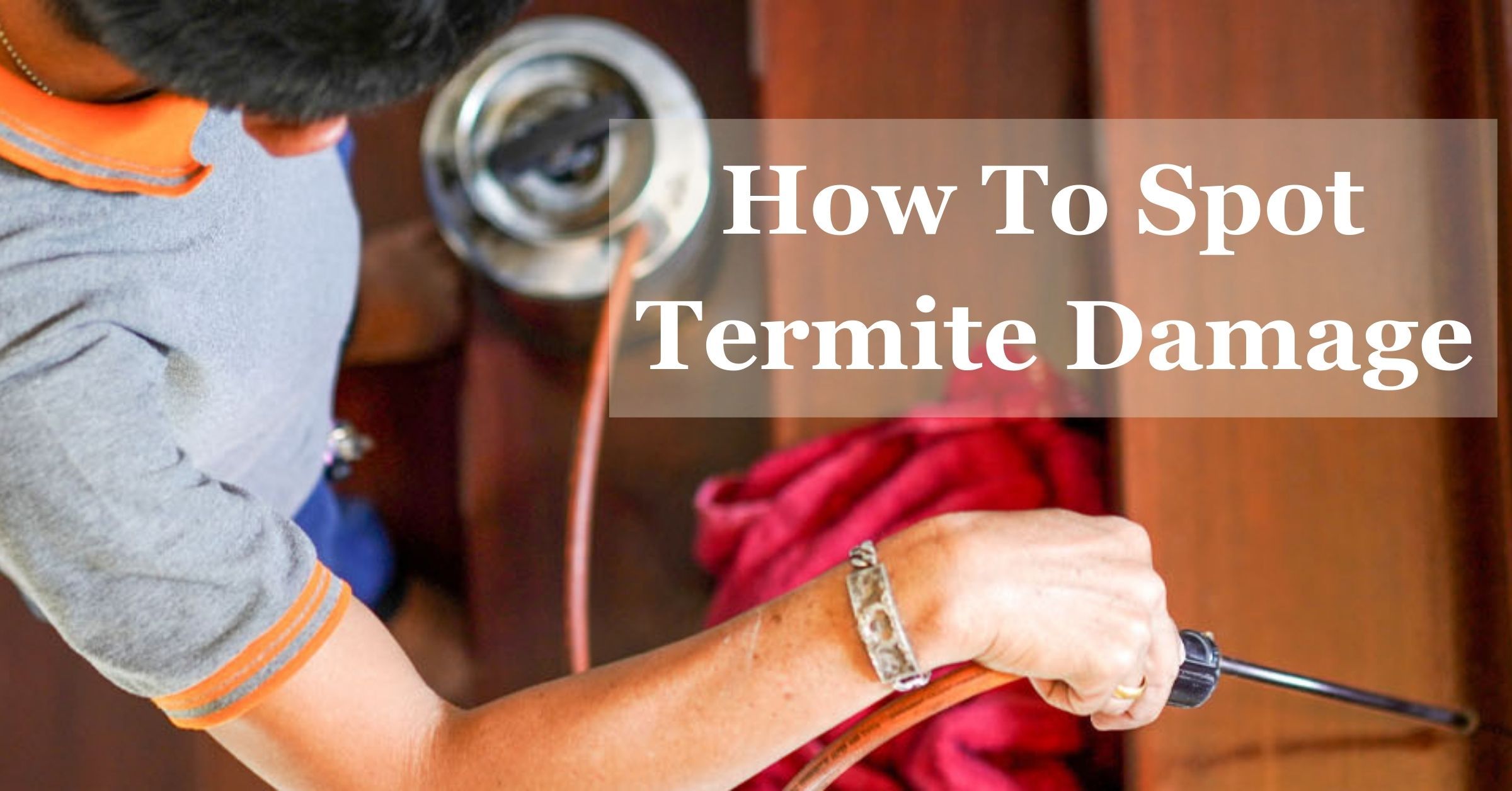How to Spot Termite Damage