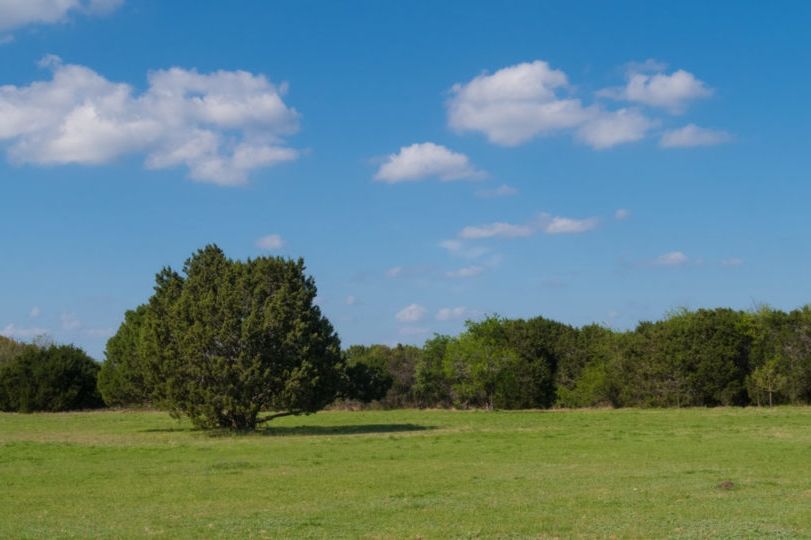 Pemberton Heights neighborhood in Austin, Texas