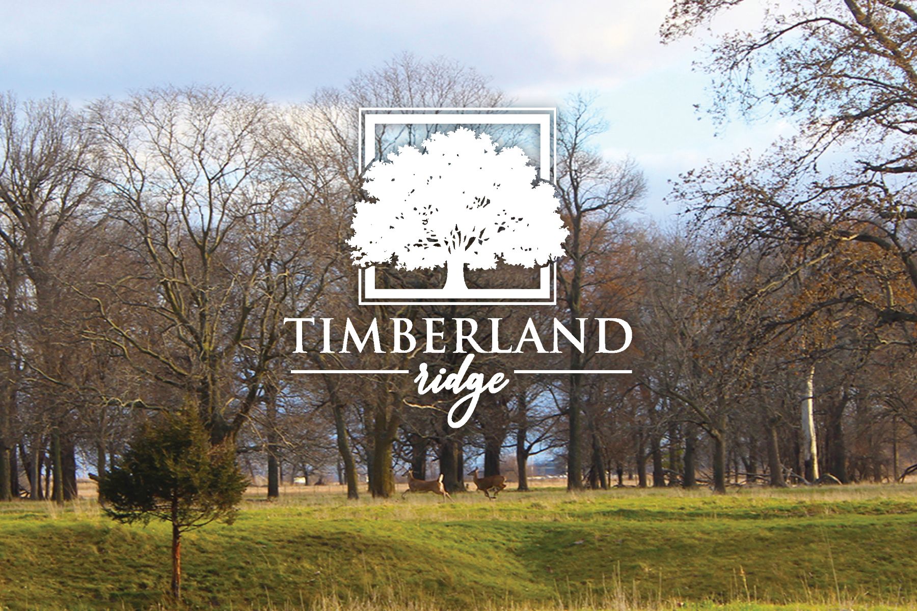Timberland Ridge Subdivision, Story City, IA