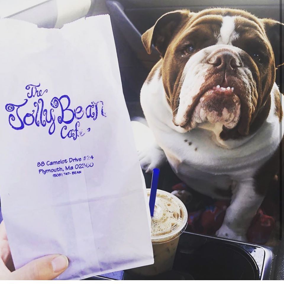 Top 5 Coffee Shops on the South Shore & Cape Cod